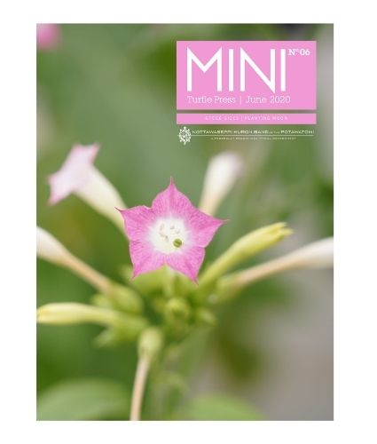 June – MINI | NHBP