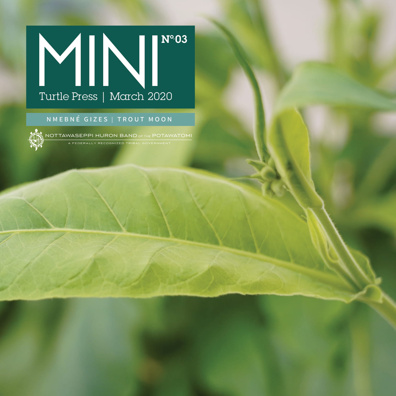 March – MINI | NHBP