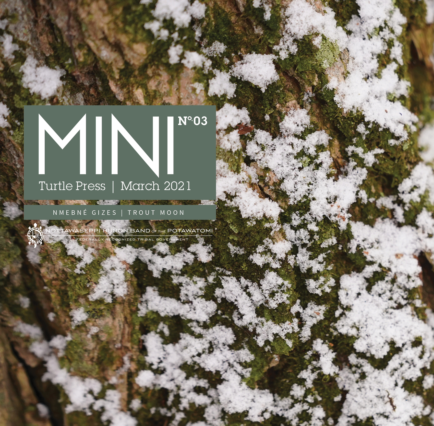 March – MINI | NHBP