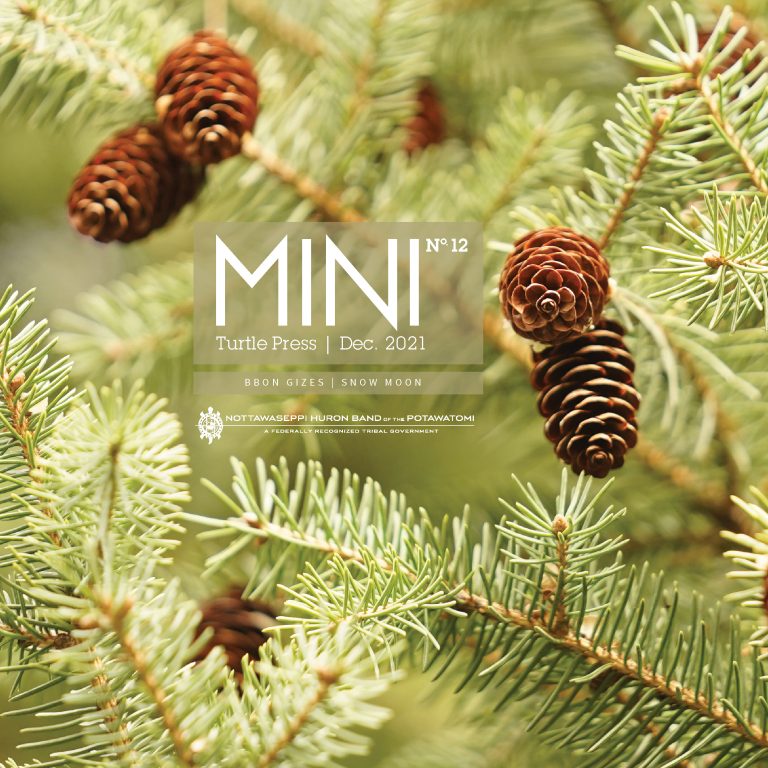 December — MINI | NHBP