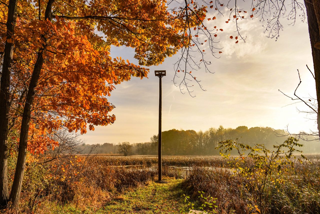 Bald Eagle Nest Platform Installed on Pine Creek Indian Reservation | NHBP