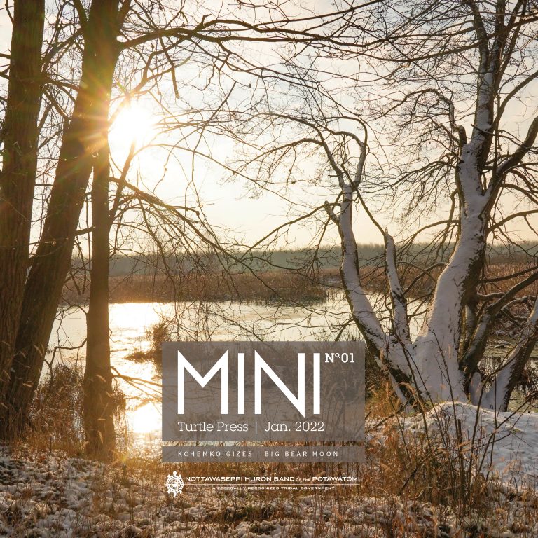 January — MINI | NHBP