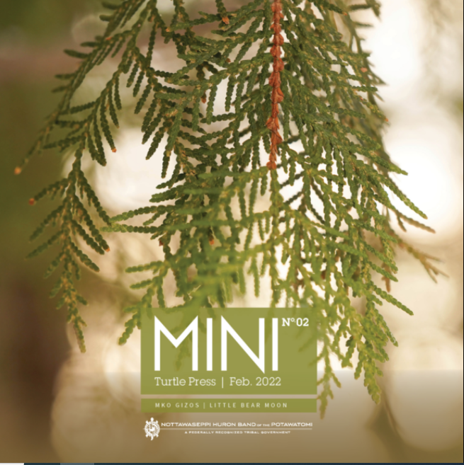 February — MINI | NHBP