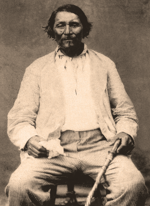 History Timeline | NHBP