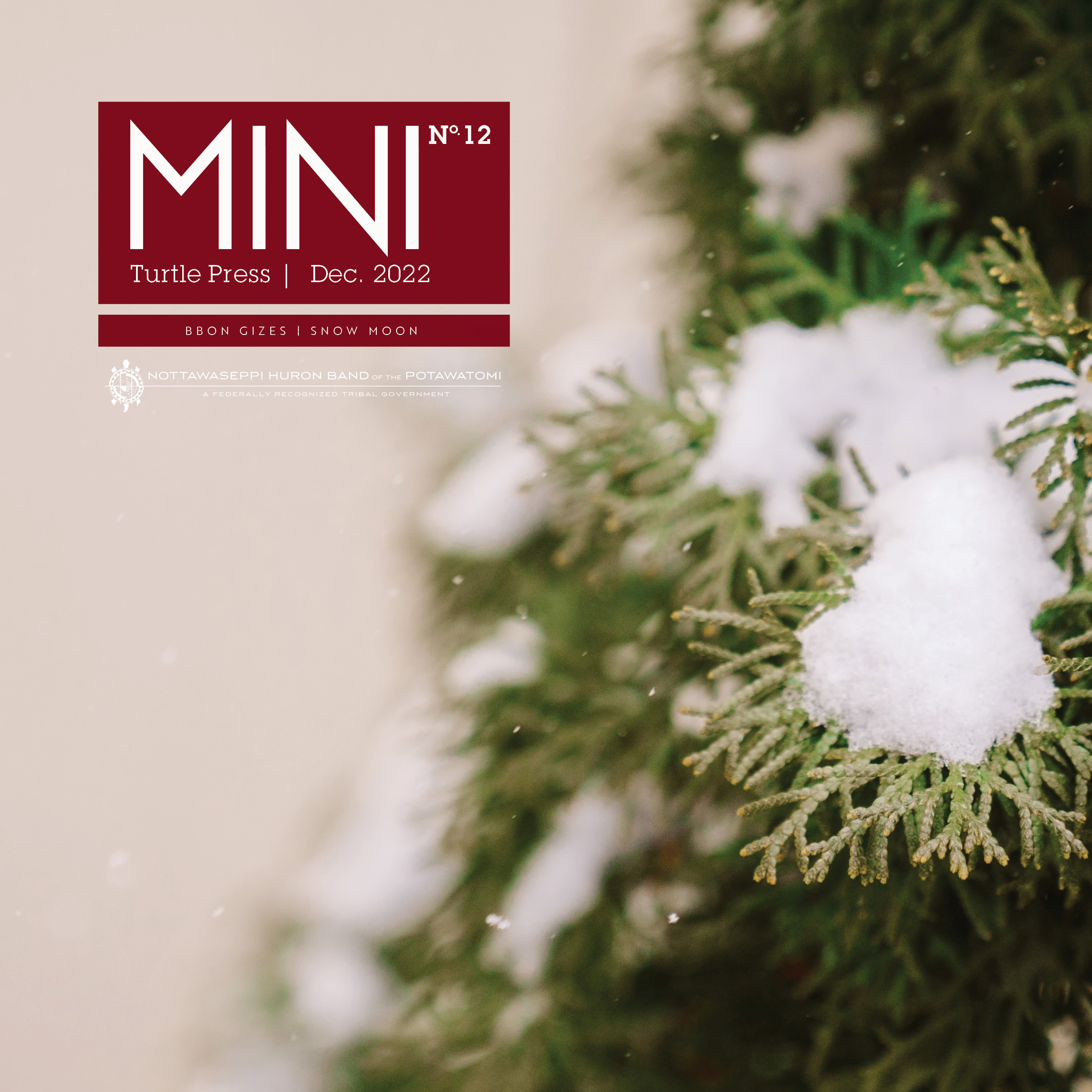 December – MINI | NHBP