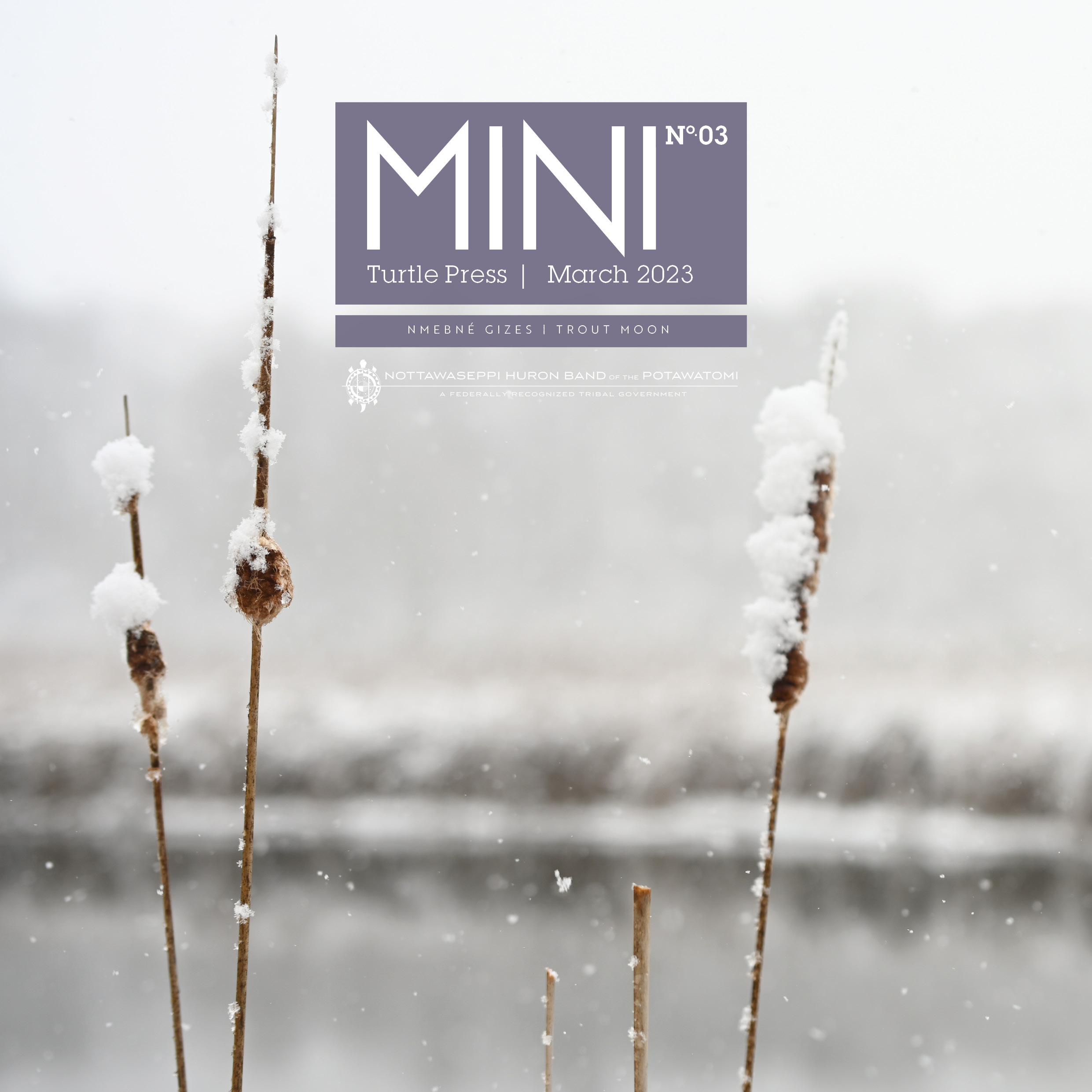 March – MINI | NHBP