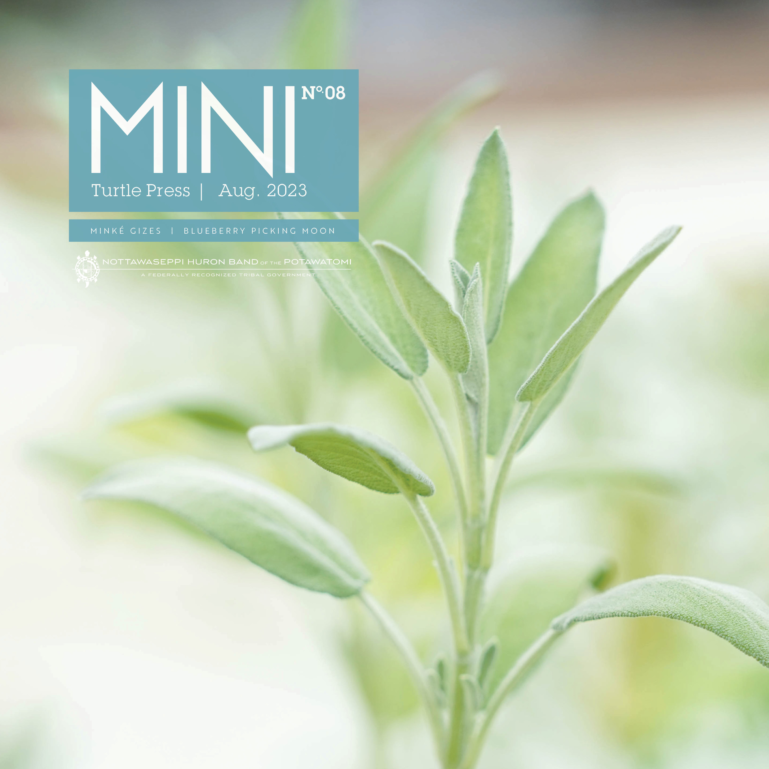 August - MINI | NHBP