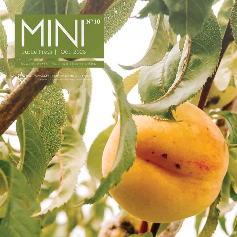 October - MINI | NHBP