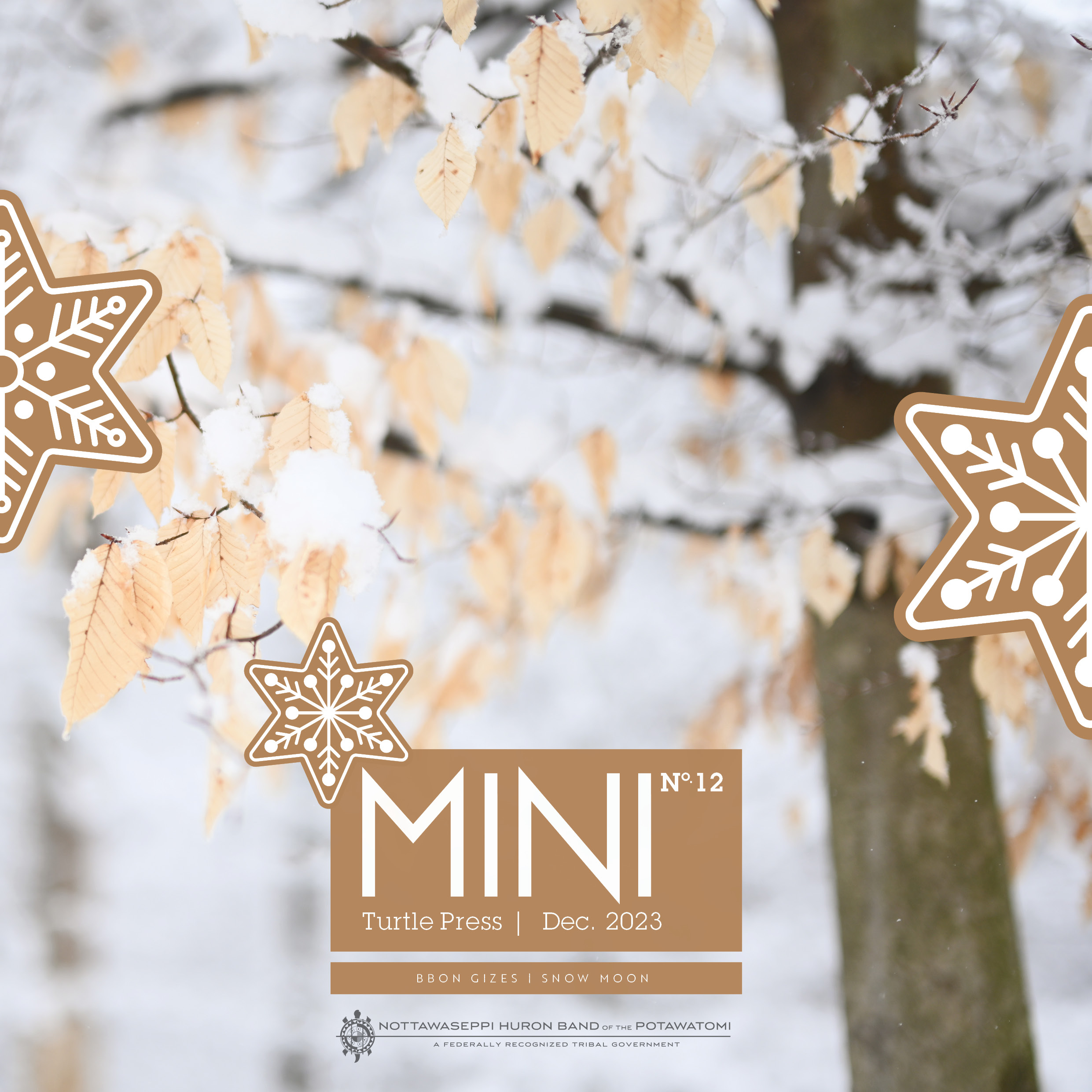December - MINI | NHBP