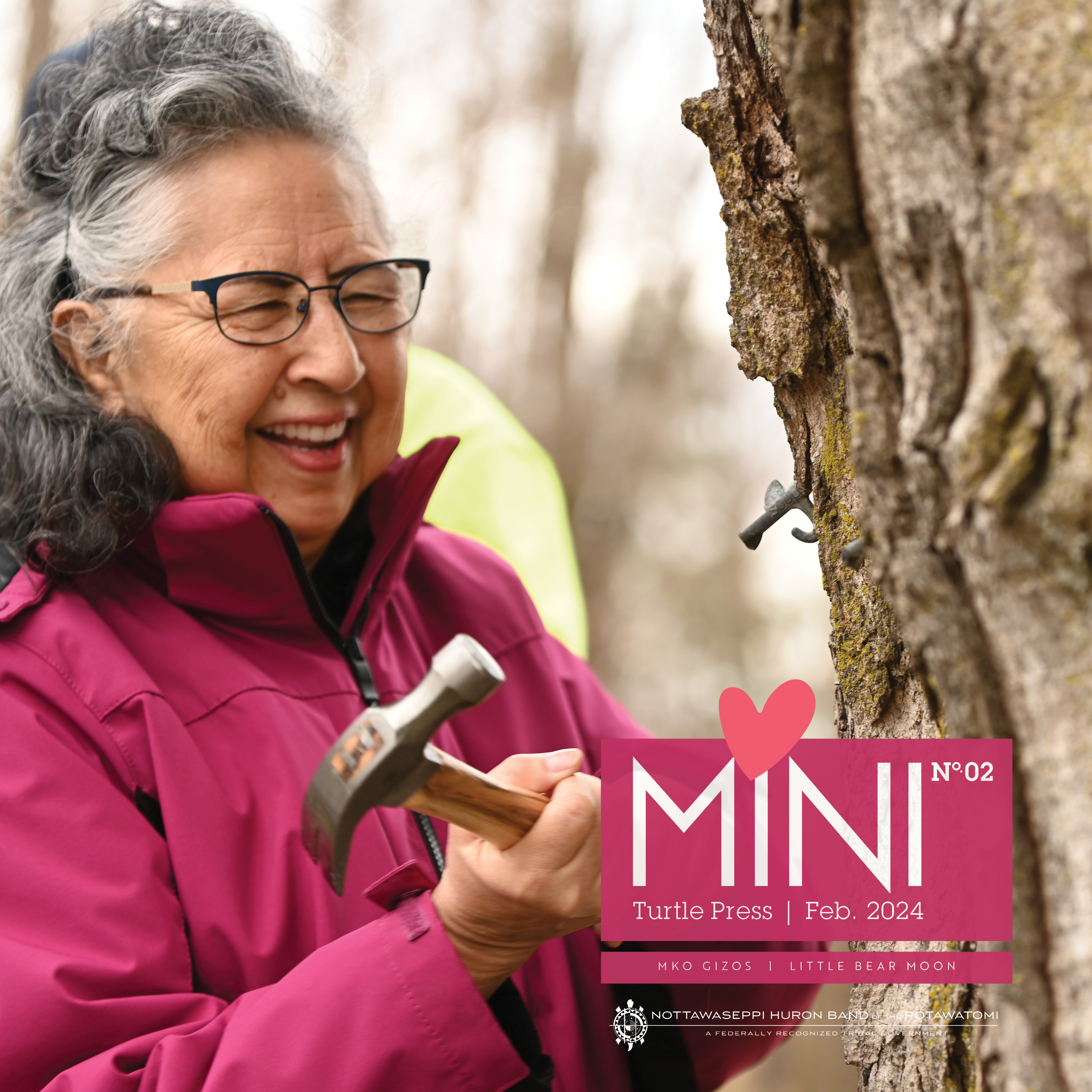 February - MINI | NHBP