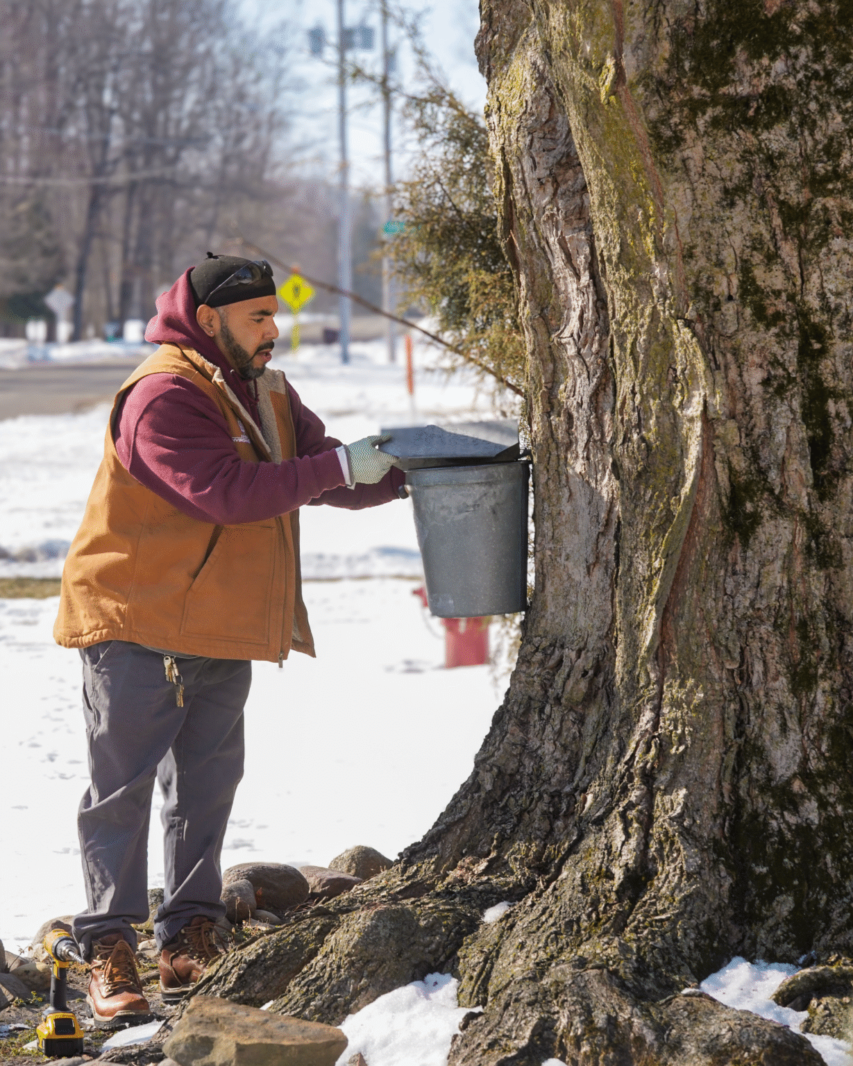 Chilly Work for a Sweet Reward: An Interview About 2026’s Blessing of ...